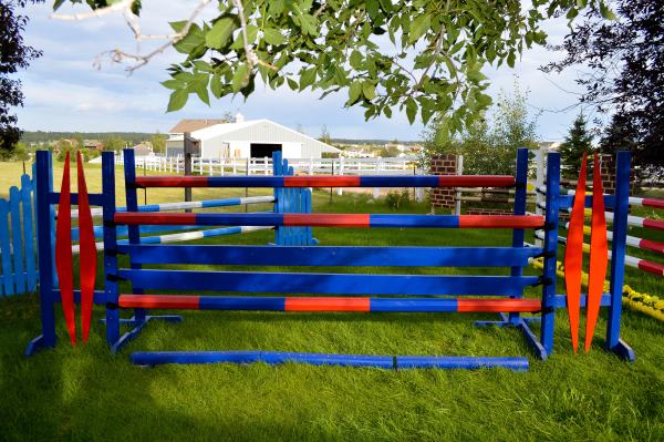 Why I started Building Horse Jumps - Budget Equestrian