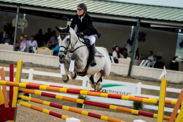 Why I started Building Horse Jumps - Budget Equestrian