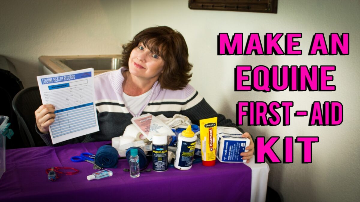 Making Your Own Equine First Aid Kit - Budget Equestrian