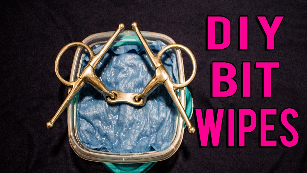 How To Make Your Own Bit Wipes - Budget Equestrian