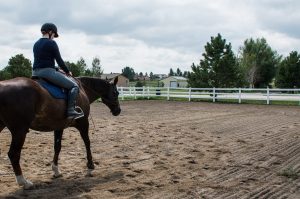 Get Your Horse Moving Forward - Day 19 Being A Better Rider Challenge ...