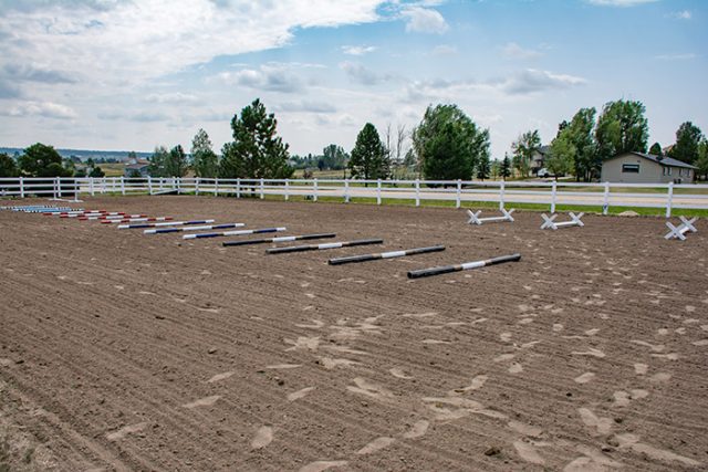 Using Ground poles In Your Arena For Confident Riding - Budget Equestrian