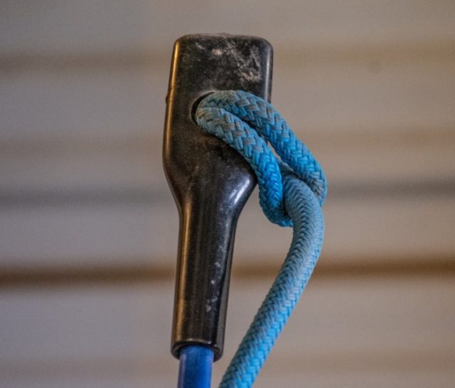 Better Tools For Better Groundwork - Budget Equestrian