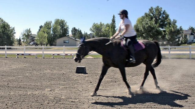 The 30 Day Confident Rider Challenge - All The Days In One Spot ...