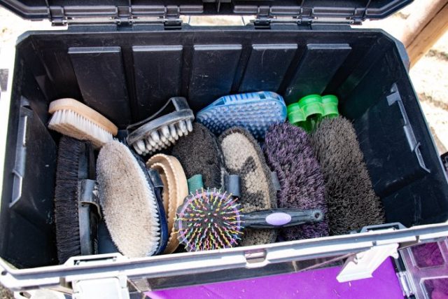The Updated Ultimate Grooming Tool Resource - The Best Tools For ...