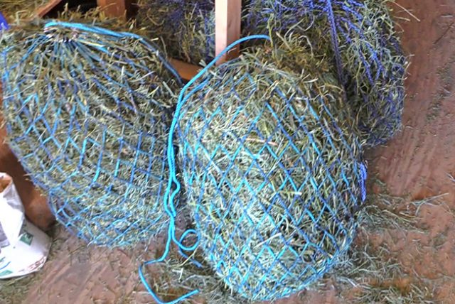 All About Hay Nets - Budget Equestrian