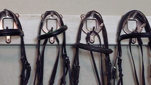 Homemade Low Cost Bridle Rack - Budget Equestrian