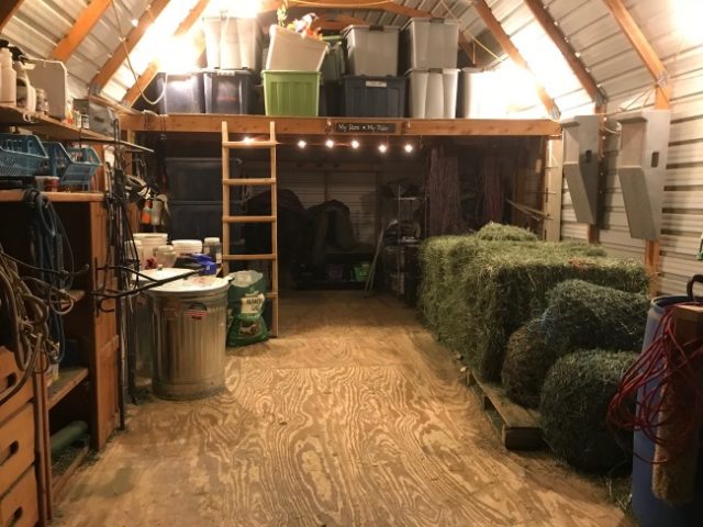 Small Tack Room Makeover - Budget Equestrian