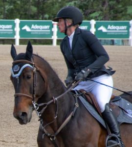 What Is An Ear Bonnet? - Budget Equestrian
