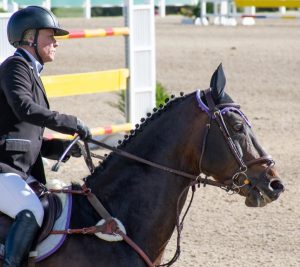 What Is An Ear Bonnet? - Budget Equestrian