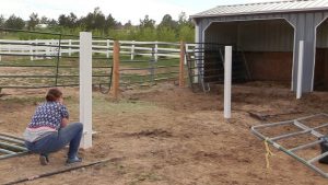 How To DIY Horse Paddocks On A Budget - Budget Equestrian