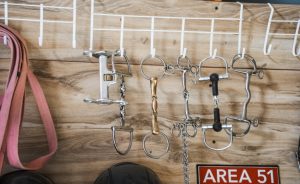 5 DIY Projects That Will Help Save (Or Make You) Money With Horses ...