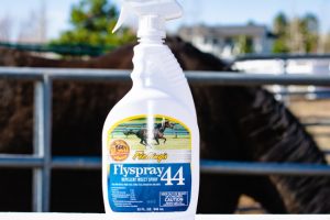 The Great Fly Spray Challenge - Budget Equestrian