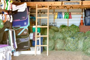 The Real Secret to an Organized Tack Room - Budget Equestrian