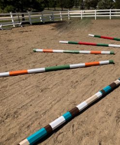 10 Ground Pole Exercises - Budget Equestrian