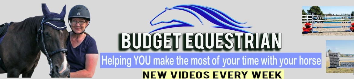 How to Be Consistent with Your Horse - Budget Equestrian