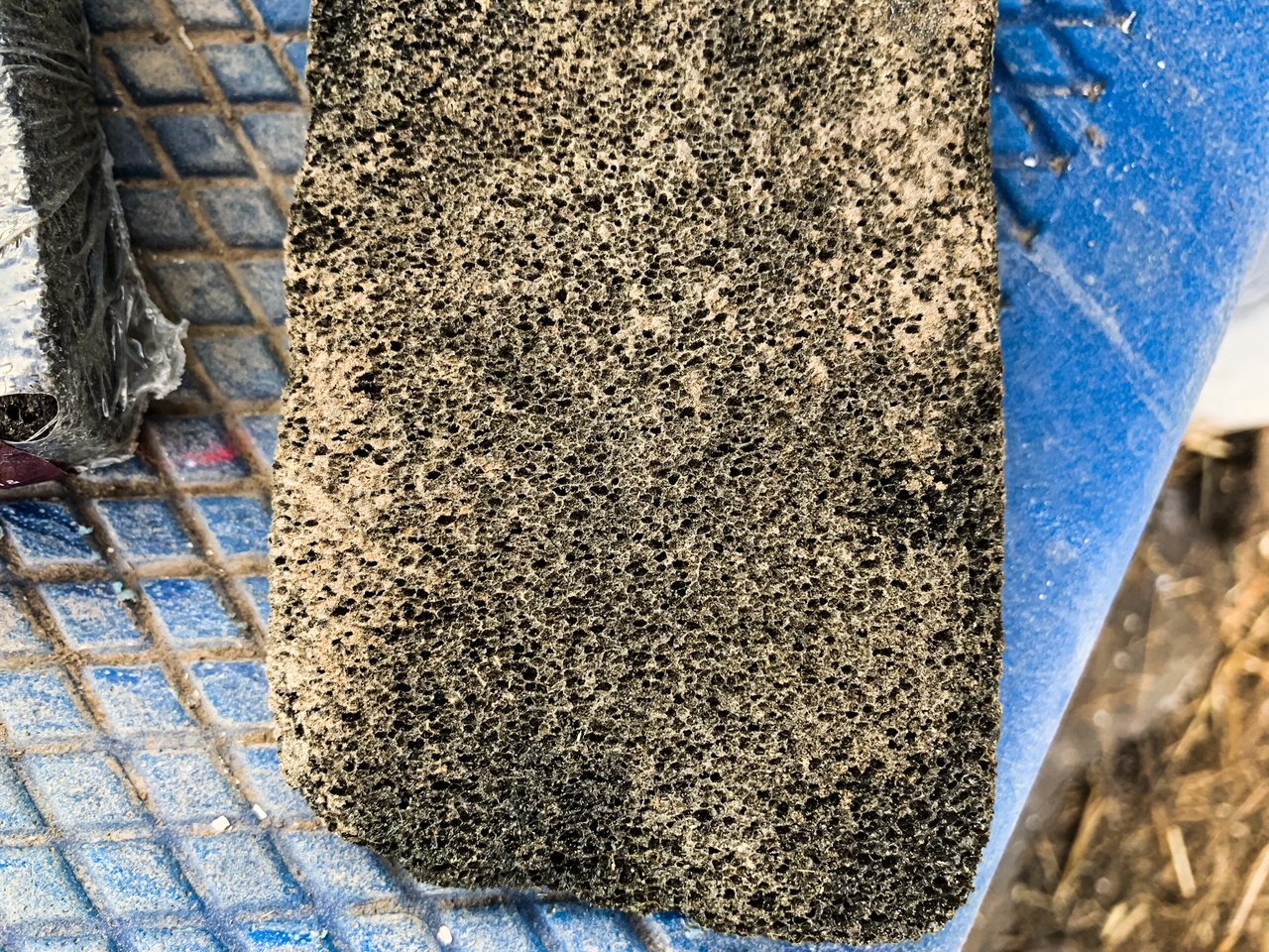 5 Best Shedding Tools For 2021 - Budget Equestrian