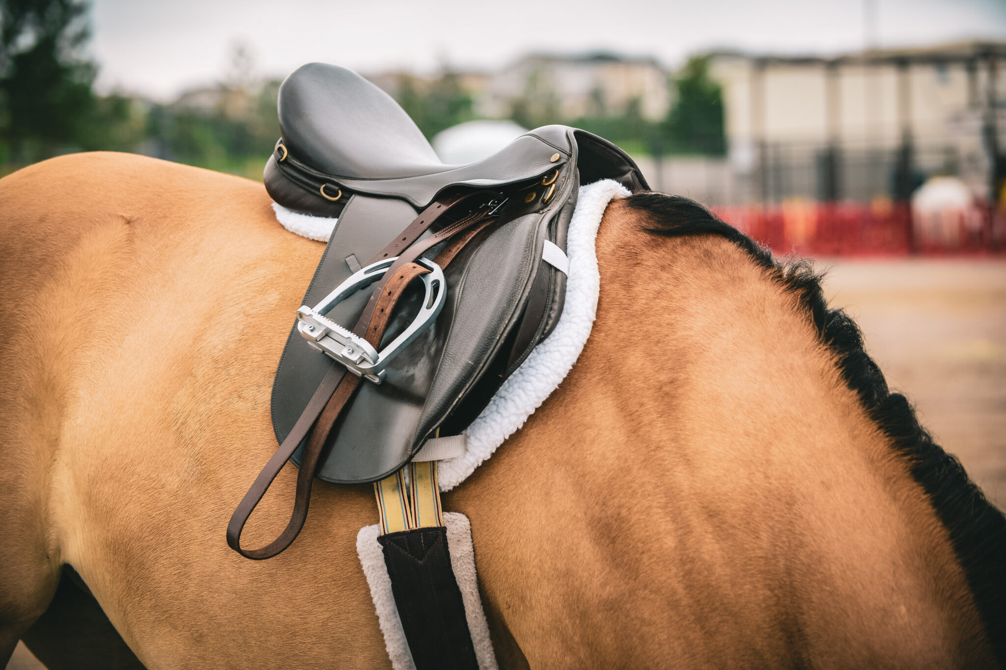 Going To Your First Horse Show - Your Tack - Budget Equestrian