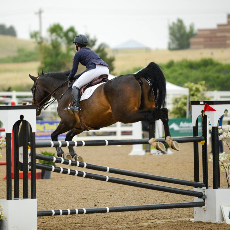 How To Build Cavaletti - So Easy! - Budget Equestrian