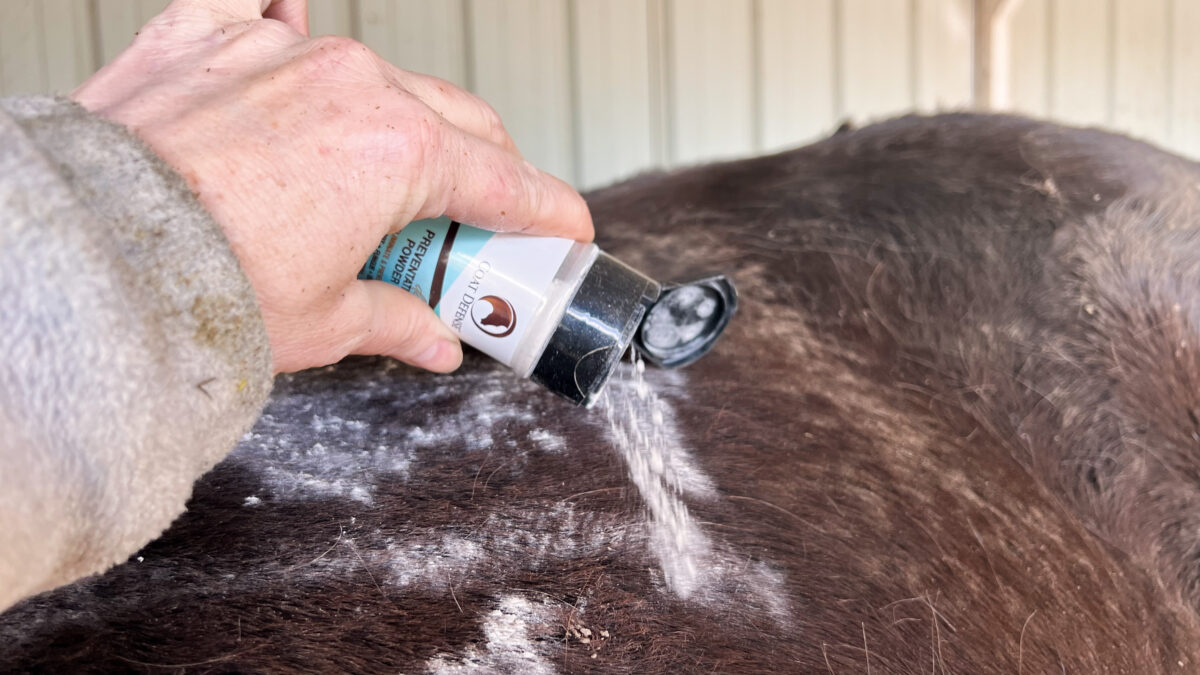 The Latest and Greatest Shedding Tools for Horses in 2023!