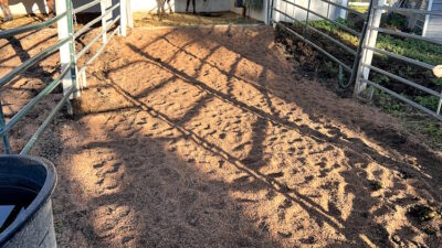 Transforming Your Horse Pens: Tackling Mud and Creating a Solid ...