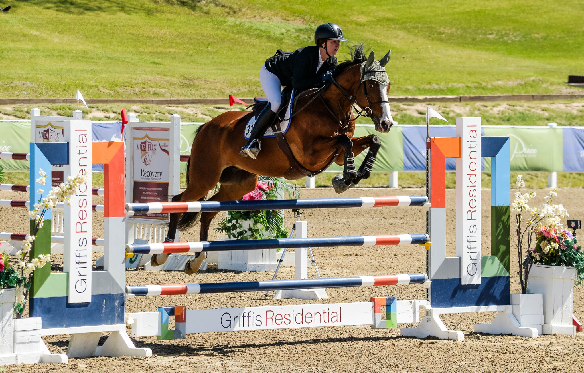 Summer Shows are Back at Colorado Horse Park - Budget Equestrian