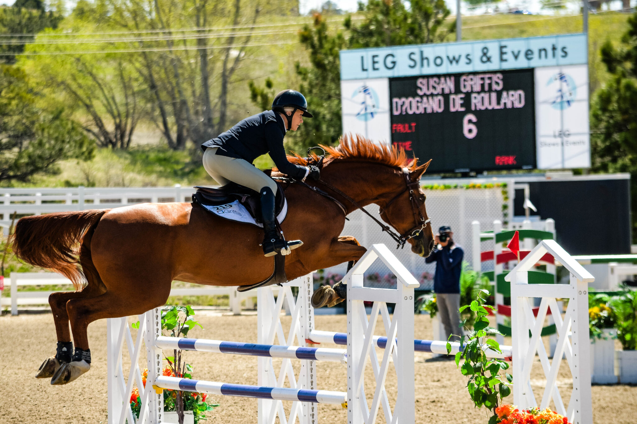 Summer Shows are Back at Colorado Horse Park - Budget Equestrian