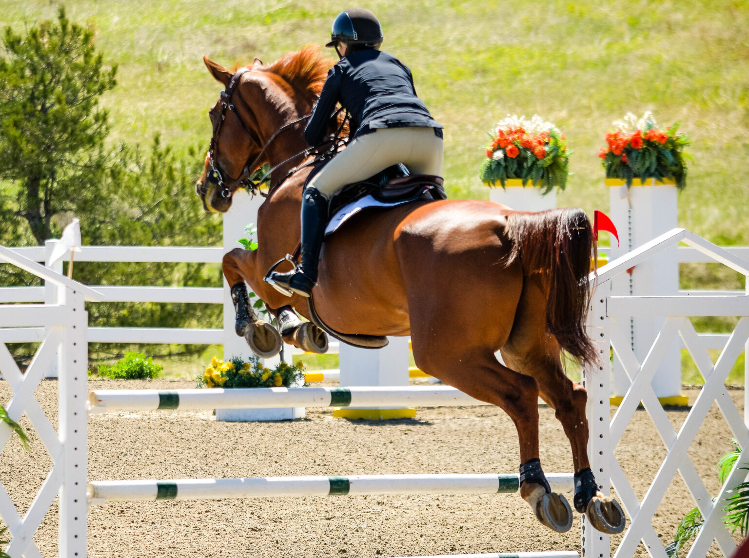 How To Use Slobber Straps and Mecate Reins - Budget Equestrian