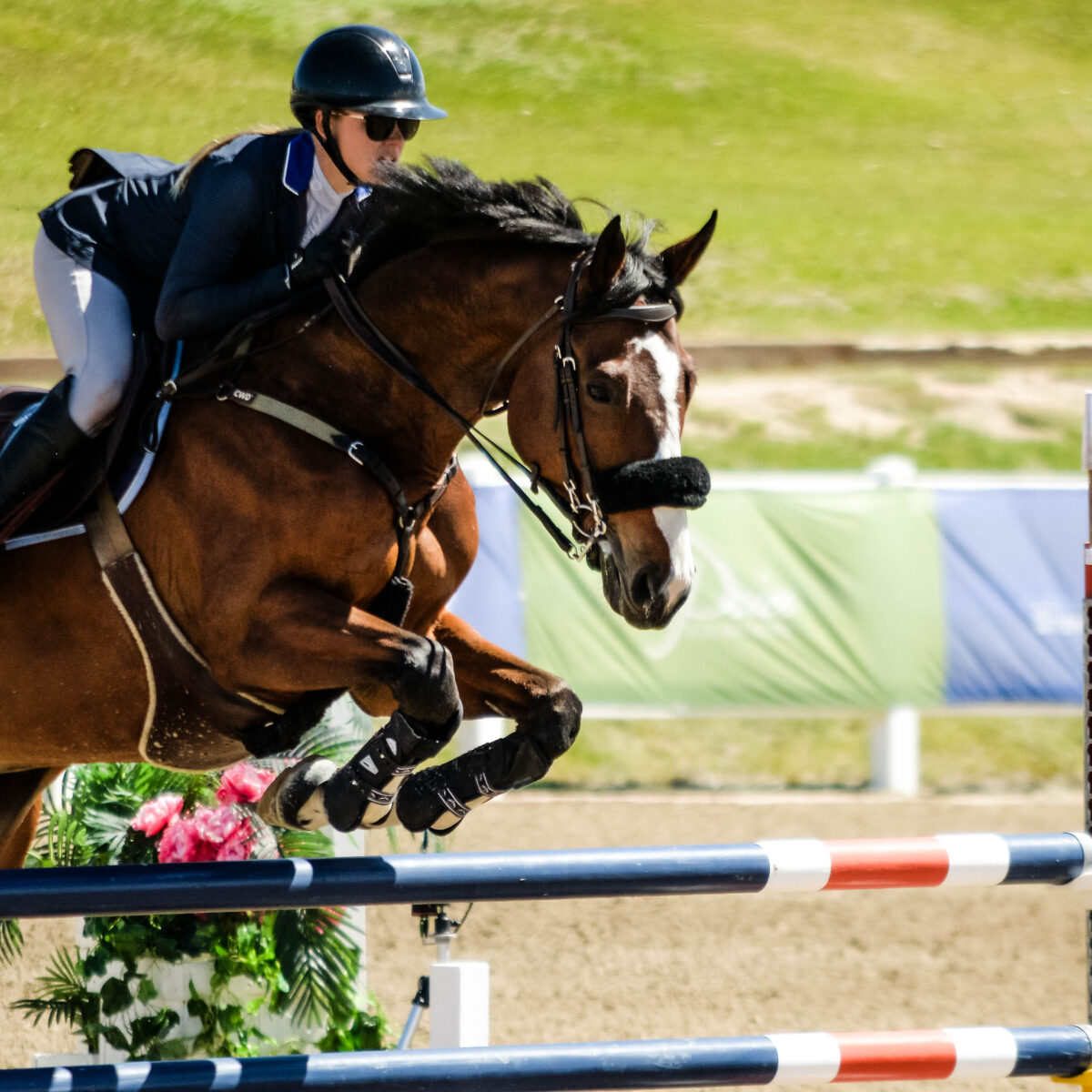 Building A Riding Arena On A Budget - Budget Equestrian