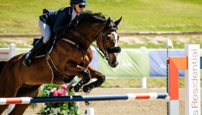 Budget Equestrian - DIY projects for barn, tack room and even your home