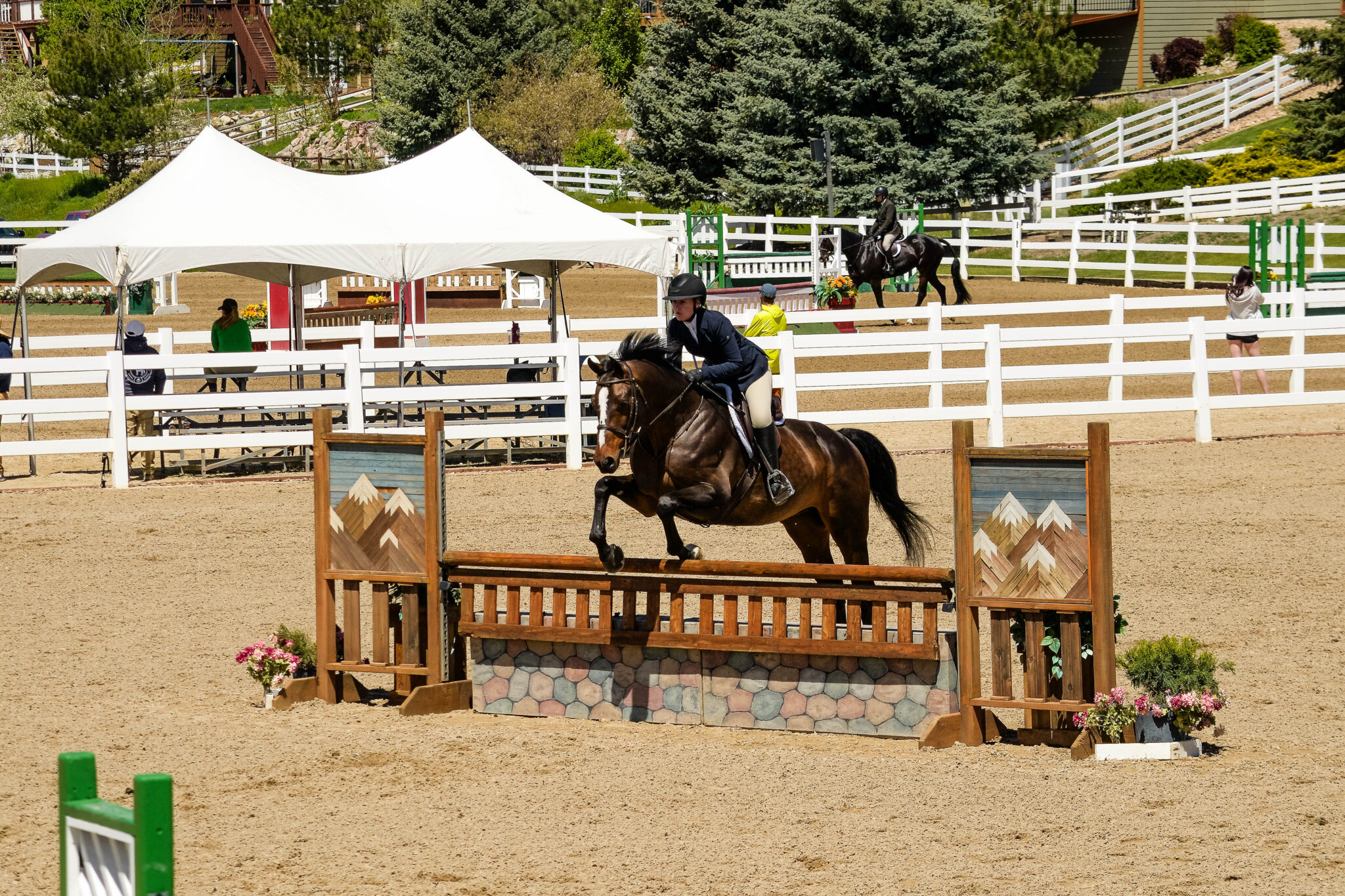 Summer Shows are Back at Colorado Horse Park - Budget Equestrian