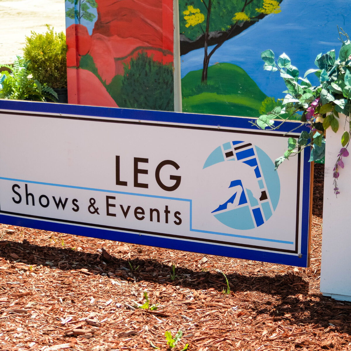 Building A Riding Arena On A Budget - Budget Equestrian