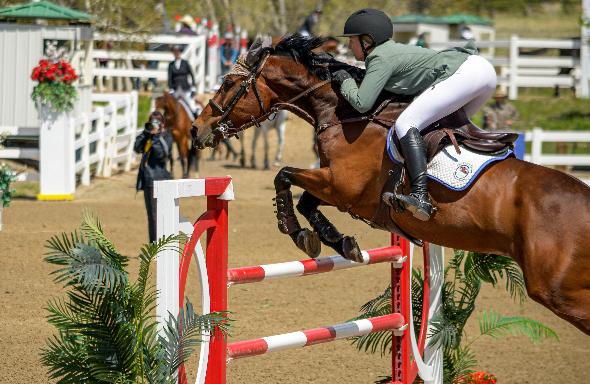Tips for Taking Great Photos at a Horse Show - Budget Equestrian