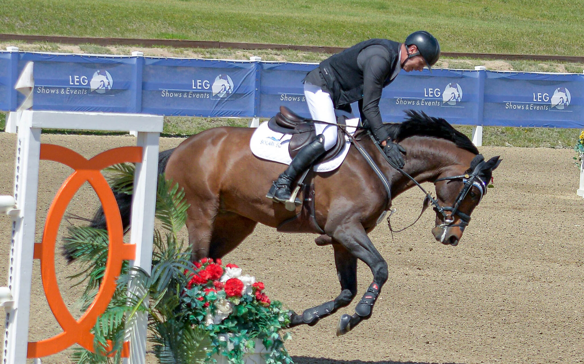 Tips for Taking Great Photos at a Horse Show - Budget Equestrian