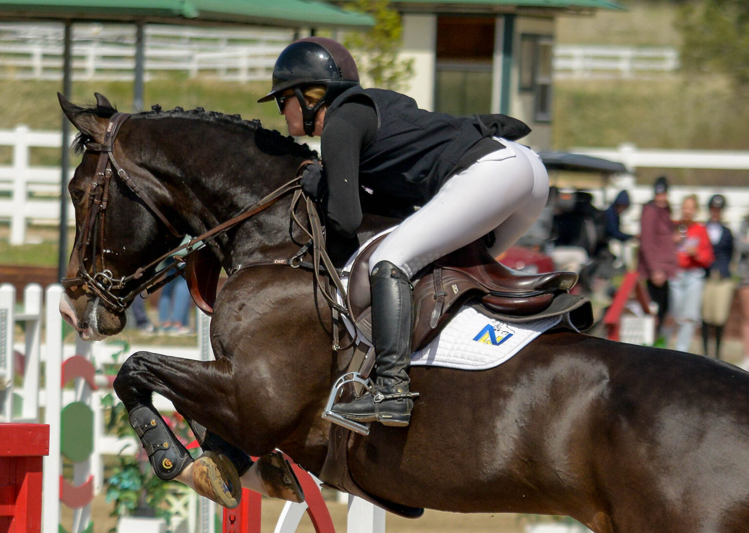 Tips for Taking Great Photos at a Horse Show - Budget Equestrian