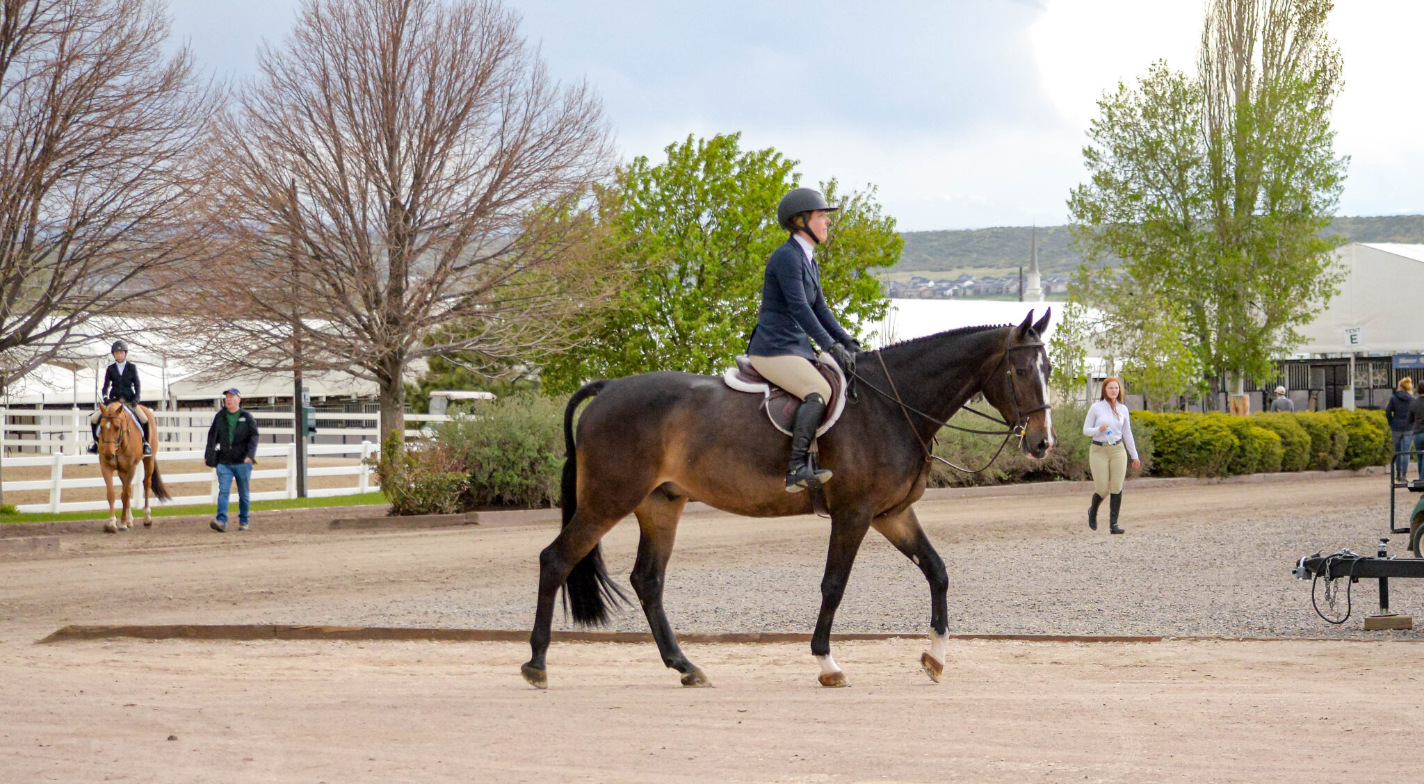 Tips for Taking Great Photos at a Horse Show - Budget Equestrian