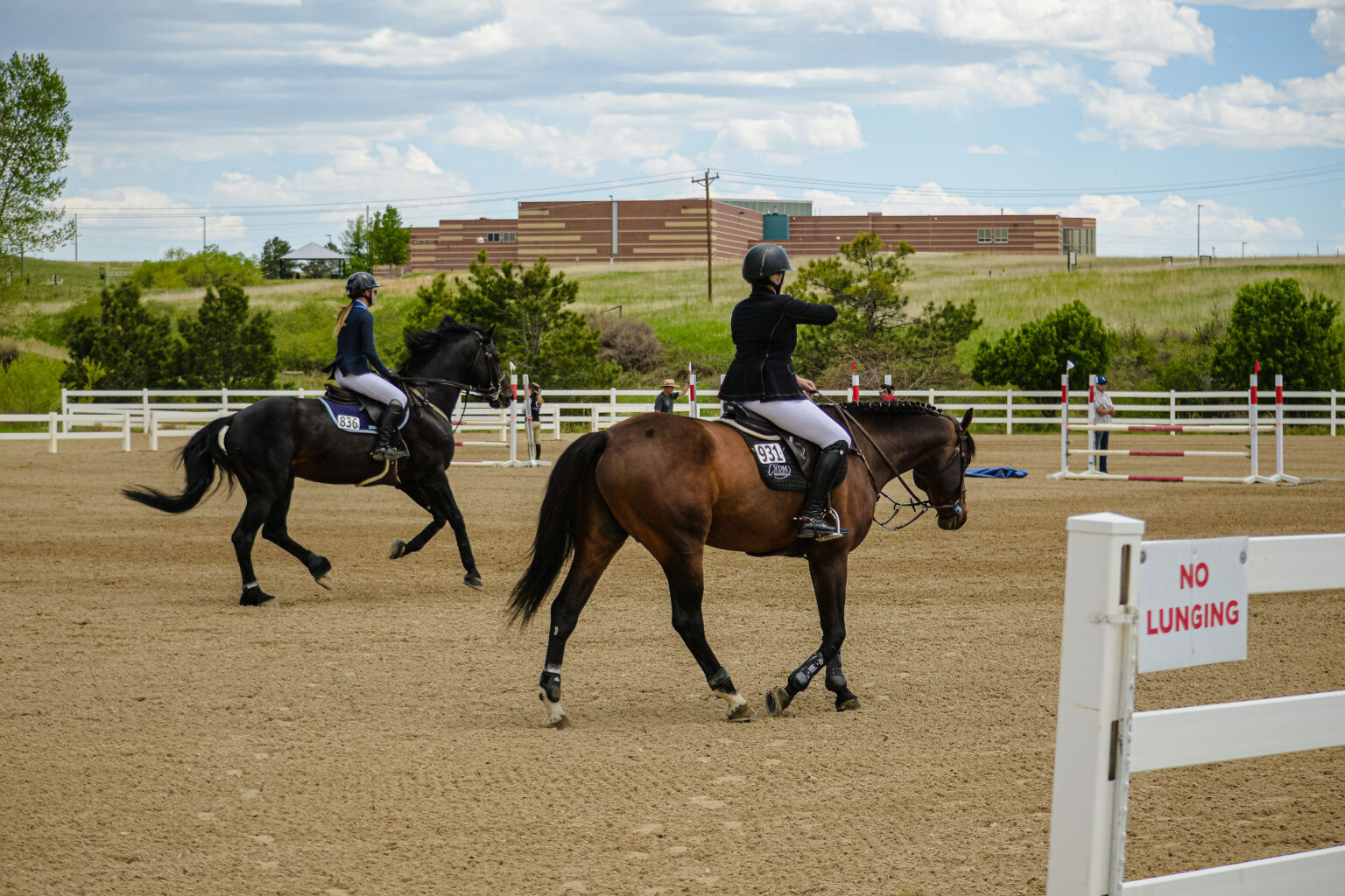 The 5-Hour Rule for Equestrians: Achieve Riding Mastery - Budget Equestrian