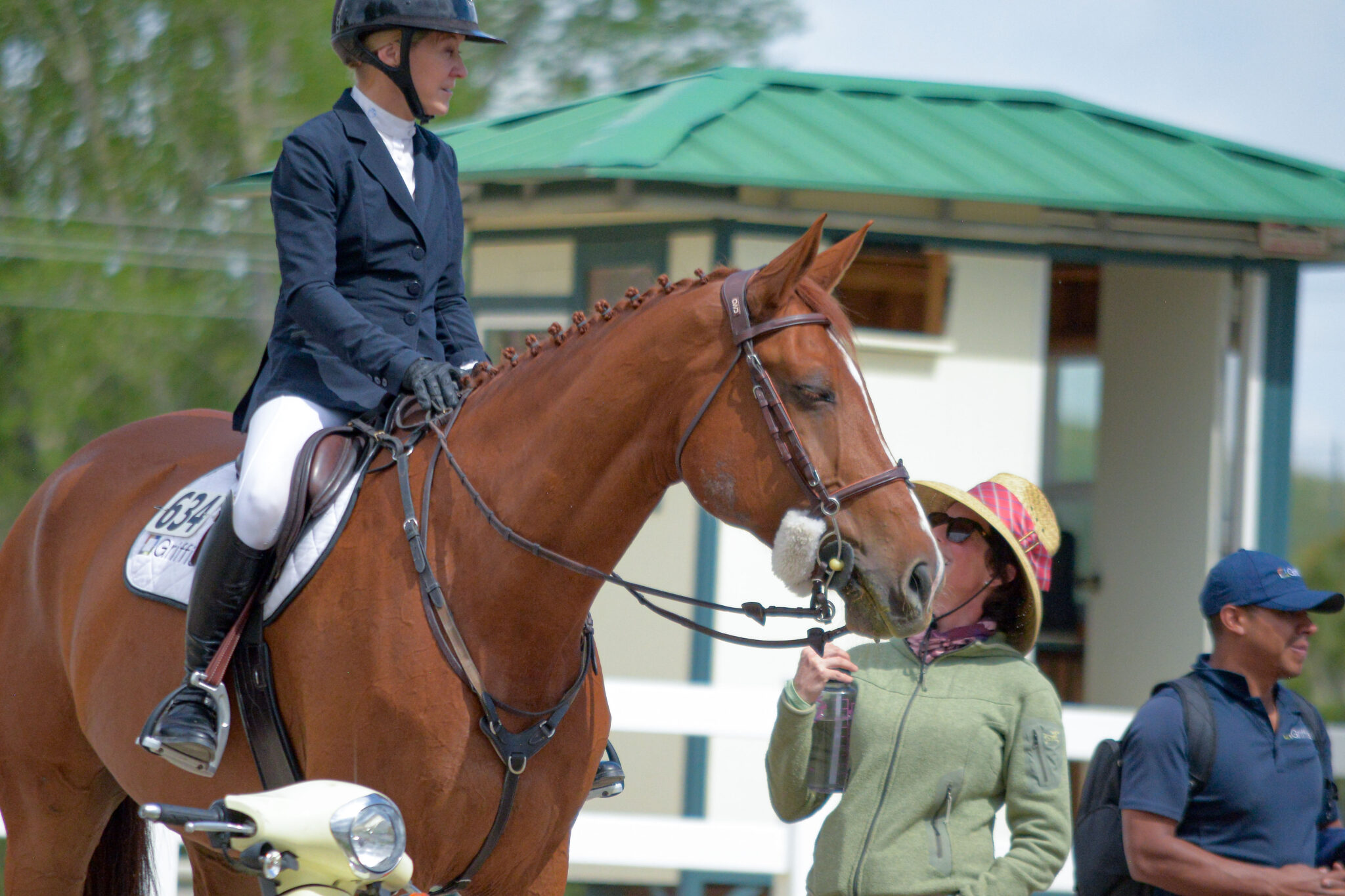 8 Ways to Earn the Respect of Your Horse - Budget Equestrian