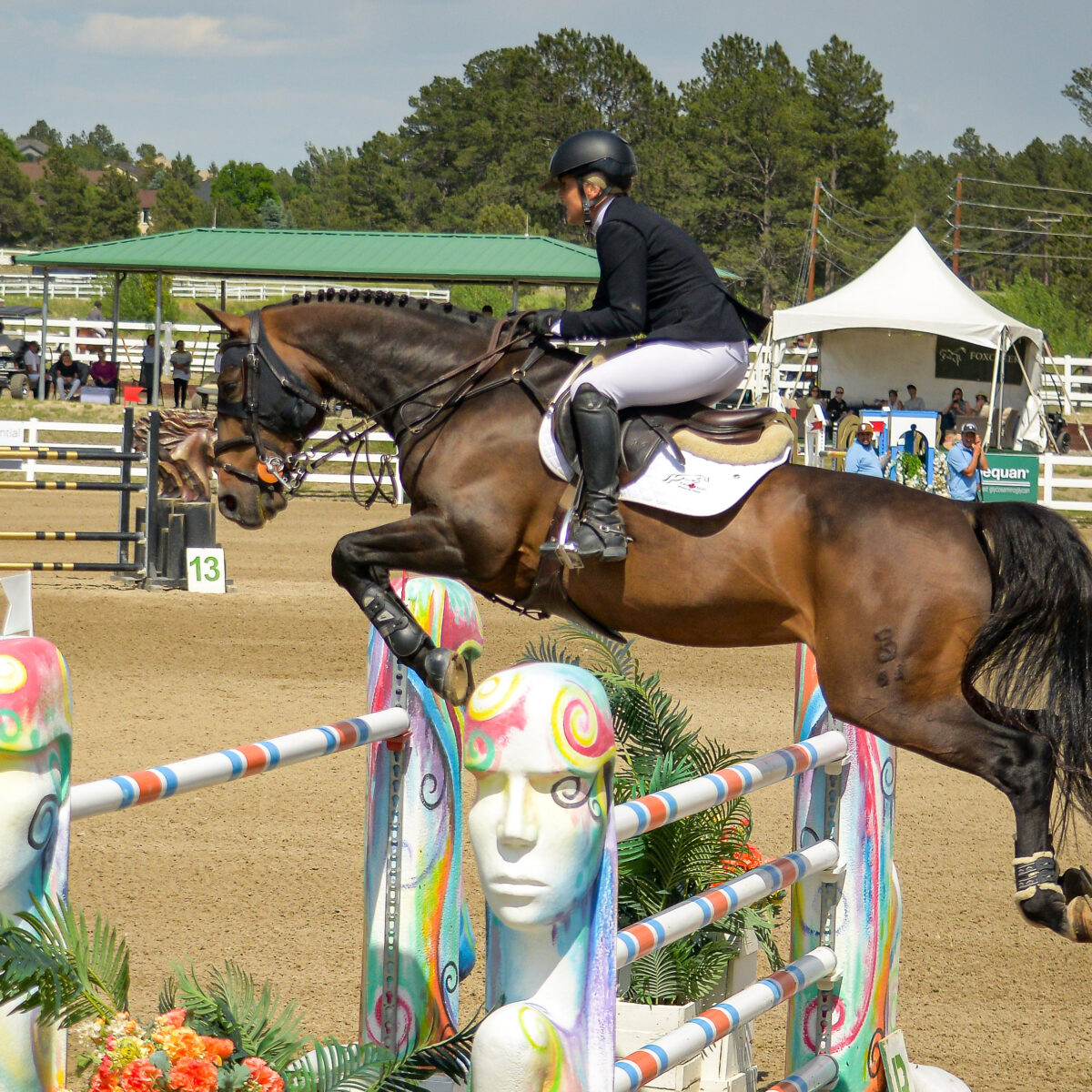 How To Build And Stain A Horse Jump Gate - Budget Equestrian
