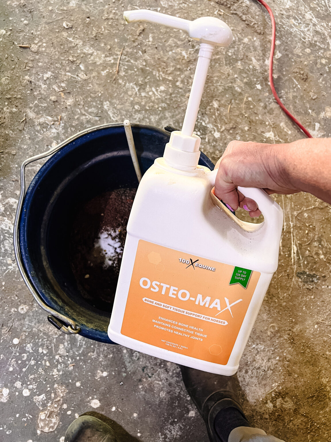 100X Equine Osteo-Max Review - Budget Equestrian