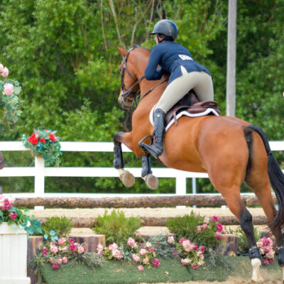 How To Build Cavaletti - So Easy! - Budget Equestrian