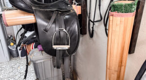 The Ultimate Guide to Tack Room Ideas on a Budget for Horse Lovers ...